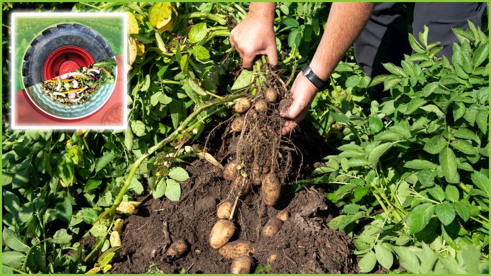 Farm to Fork | Homestead Co-op